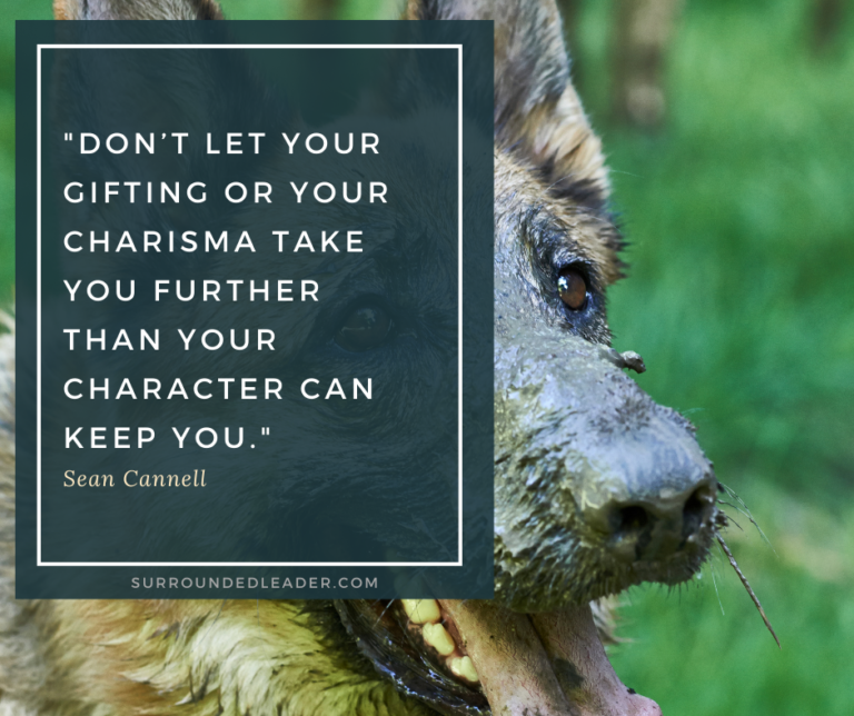 Character Development - The Surrounded Leader